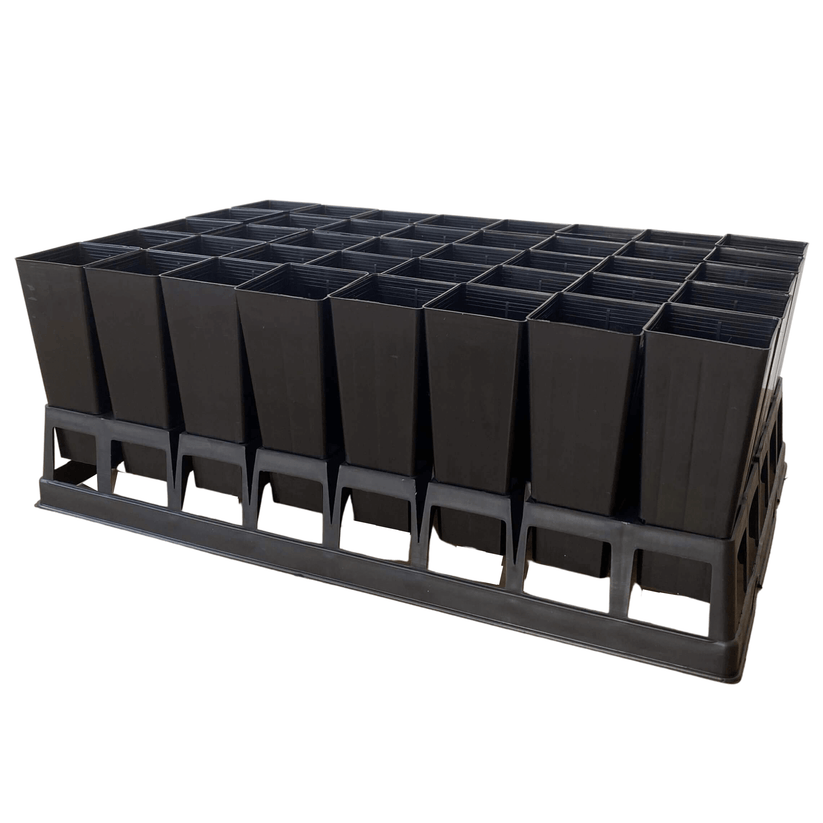 40-Cell Forestry Tube Tray with 50mm Native/Forestry Tube Stock Pots ...