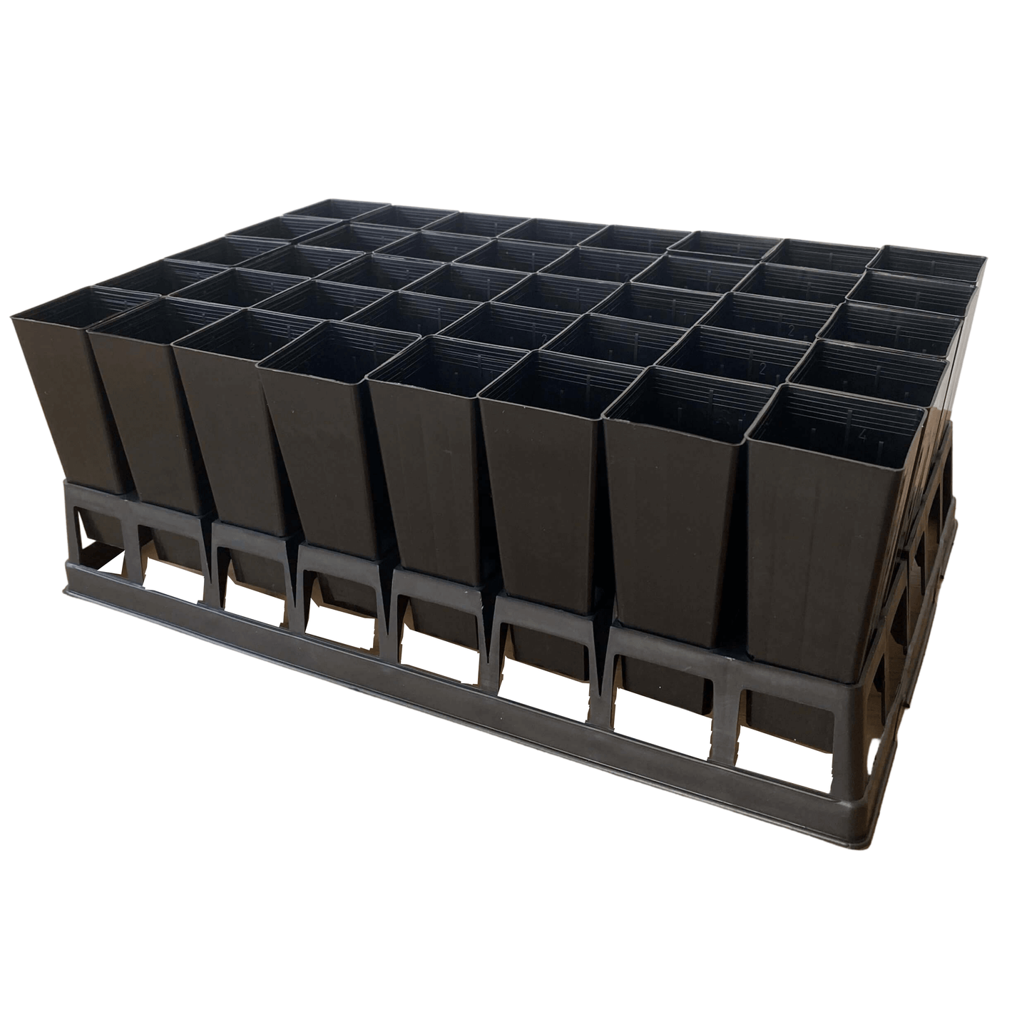 40-Cell Forestry Tube Tray with 50mm Native/Forestry Tube Stock Pots ...