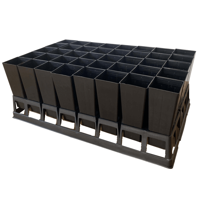 40-Cell Forestry Tube Tray with Pots | Australia – Harwood's Garden ...