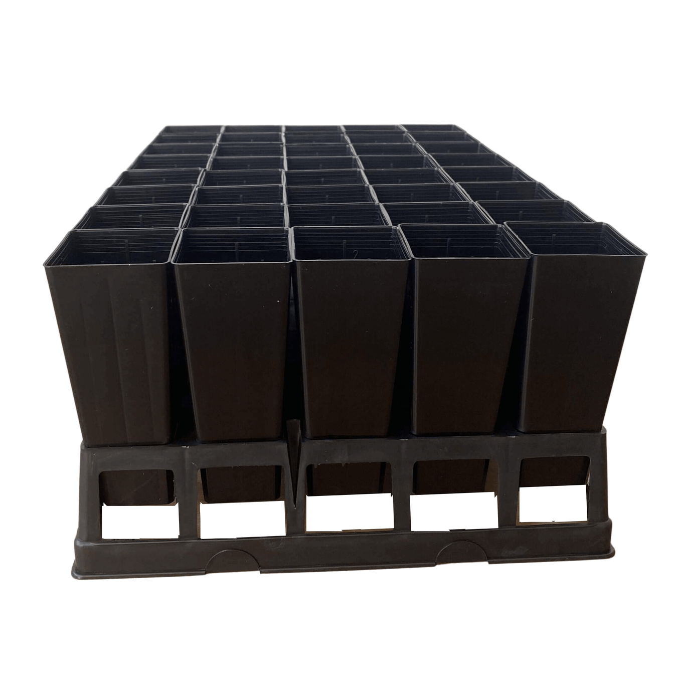 40-Cell Forestry Tube Tray with Pots | Australia – Harwood's Garden ...