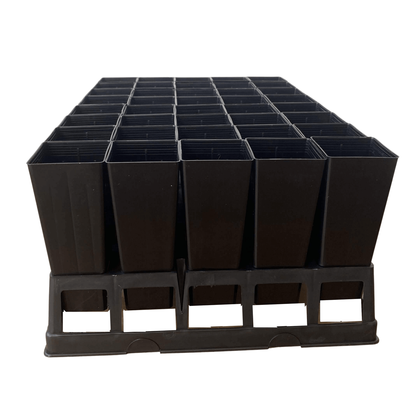 40-Cell Forestry Tube Tray with 50mm Native/Forestry Tube Stock Pots ...