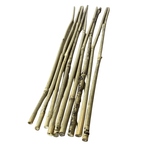 Plastic Tree Guards with Bamboo Stakes | Harwood’s – Harwood's Garden ...