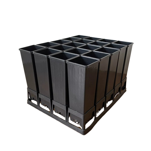 20-Cell Tube Tray with 70mm Square Vine Tube Pots – Harwood's Garden ...