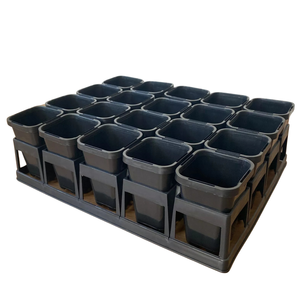 Forestry Tube Trays – Harwood's Garden Supplies