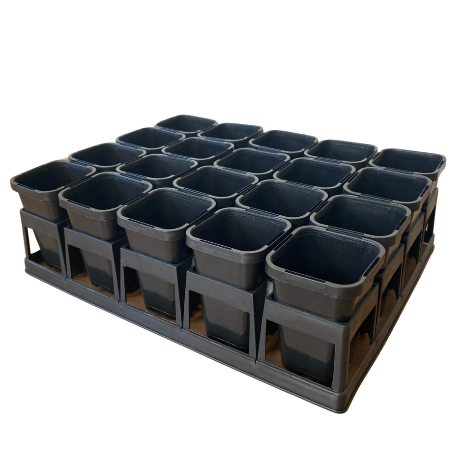 Forestry Tube Trays – Harwood's Garden Supplies